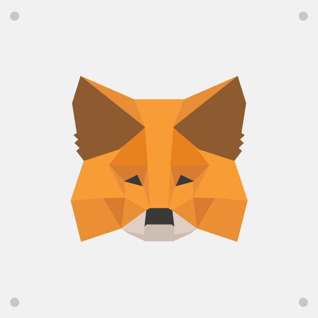 How to Connect Metamask to the Polygon Network? A step-by-step guide ...